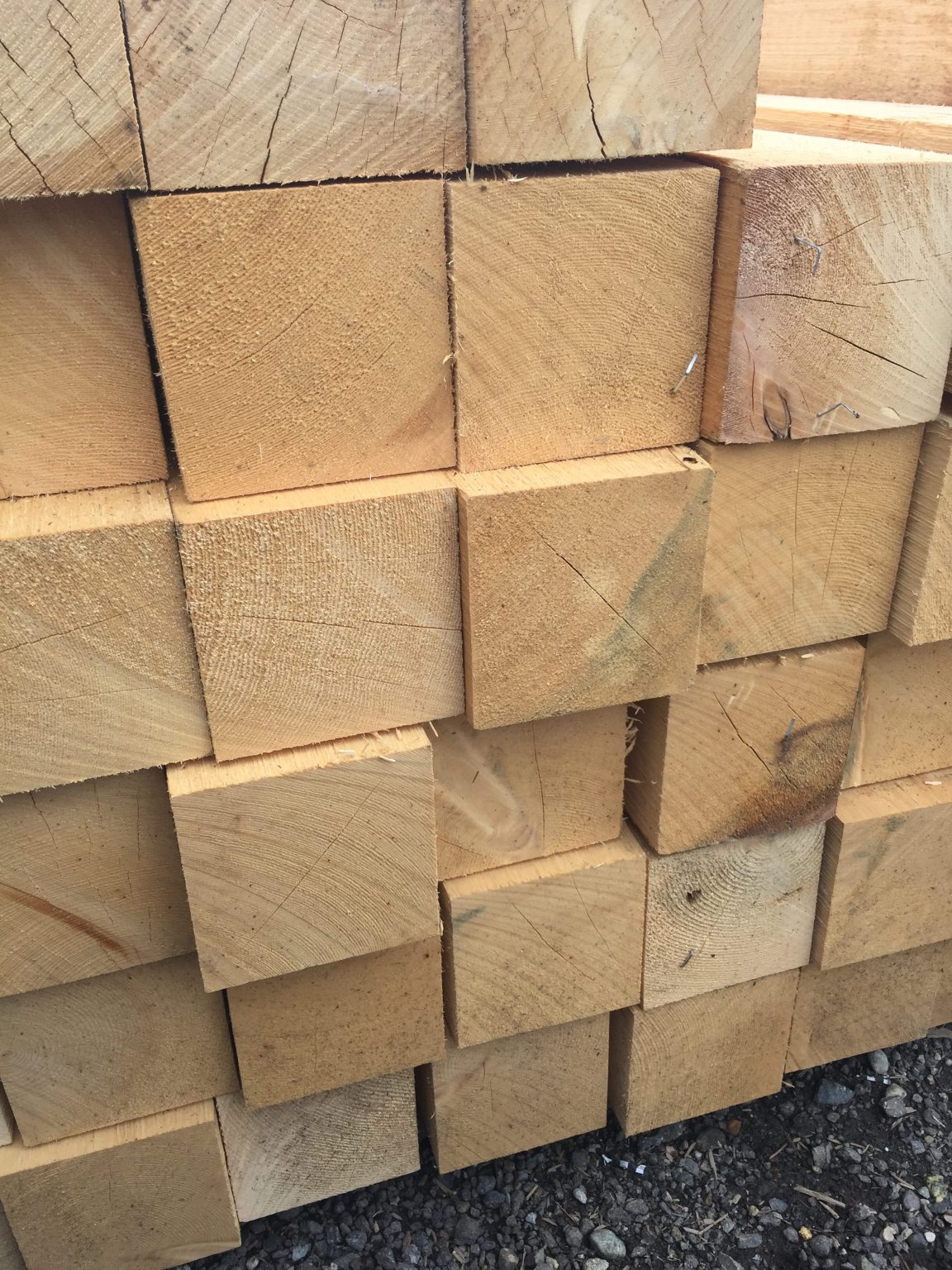 4x4 Alaskan Yellow Cedar Rough Appearance Grade Mill Outlet Lumber